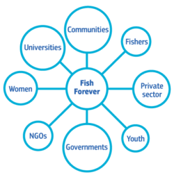 Fish Forever – Rare